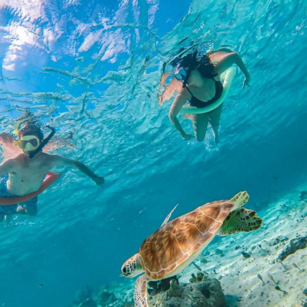 Adventures – TYMAN